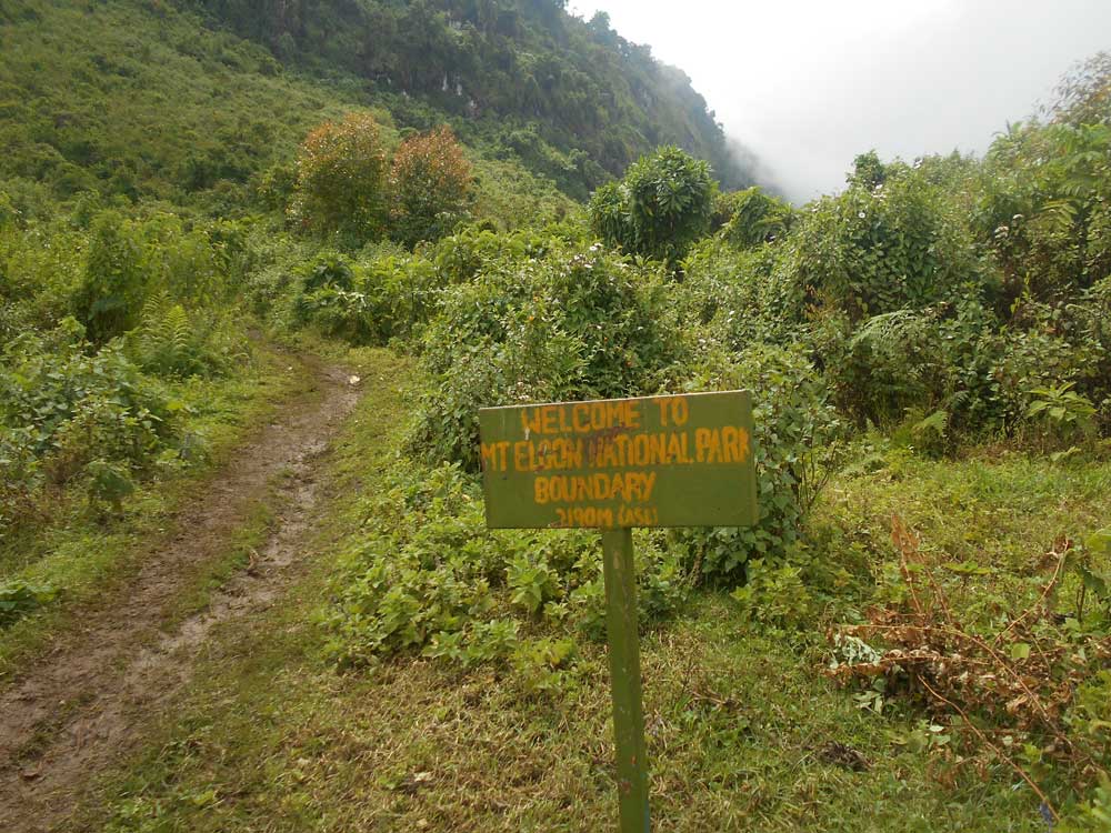 Trail 1 – Good Morning Sunshine